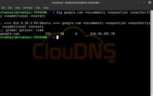 Linux dig command, how to install it and use it - ClouDNS Blog