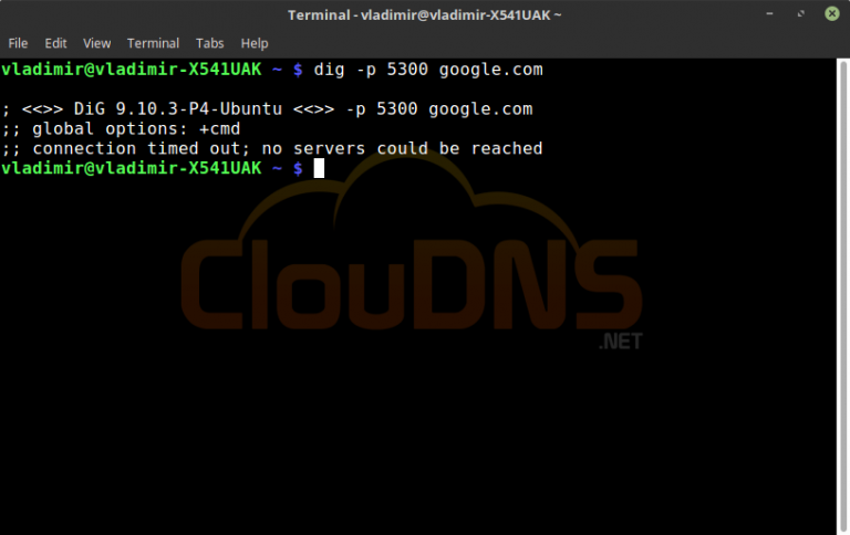 Linux dig command, how to install it and use it - ClouDNS Blog