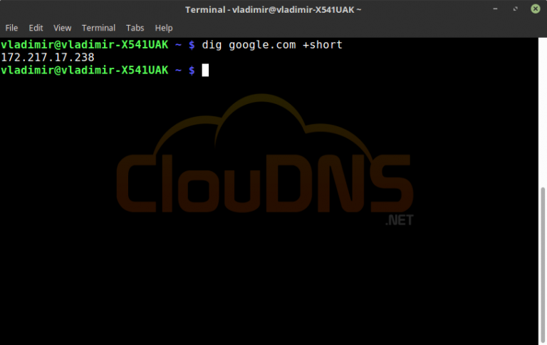 Linux Dig Command How To Install It And Use It Cloudns Blog