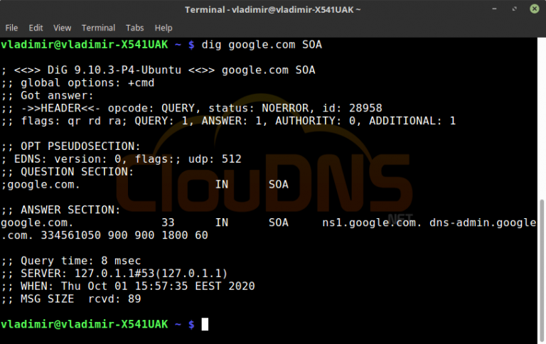 Linux dig command, how to install it and use it - ClouDNS Blog