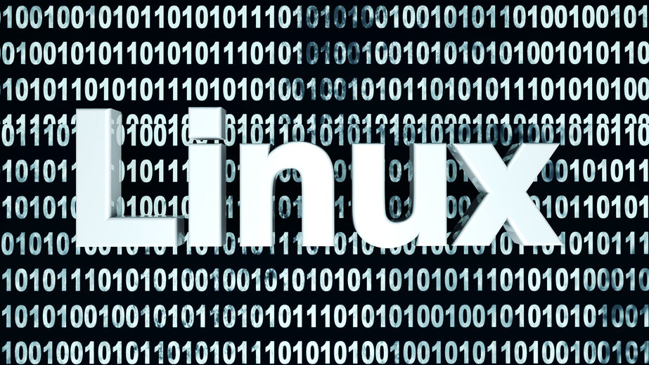 Linux Host command, troubleshot your DNS - ClouDNS Blog