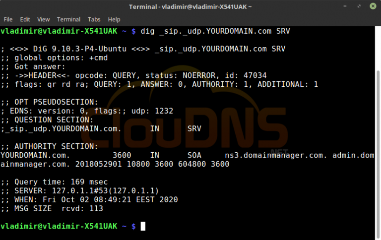 Linux dig command, how to install it and use it - ClouDNS Blog