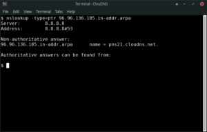 10 most used Nslookup commands - ClouDNS Blog