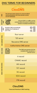 Basic DNS terms you should know (List + Infographic) - ClouDNS Blog