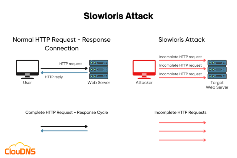 The Slowloris Attack: How it Works and How to Protect Your Website - ClouDNS Blog